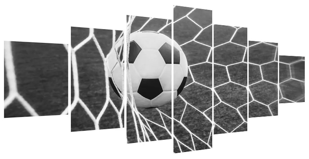 Fotbalový míč v síti (210x100 cm)