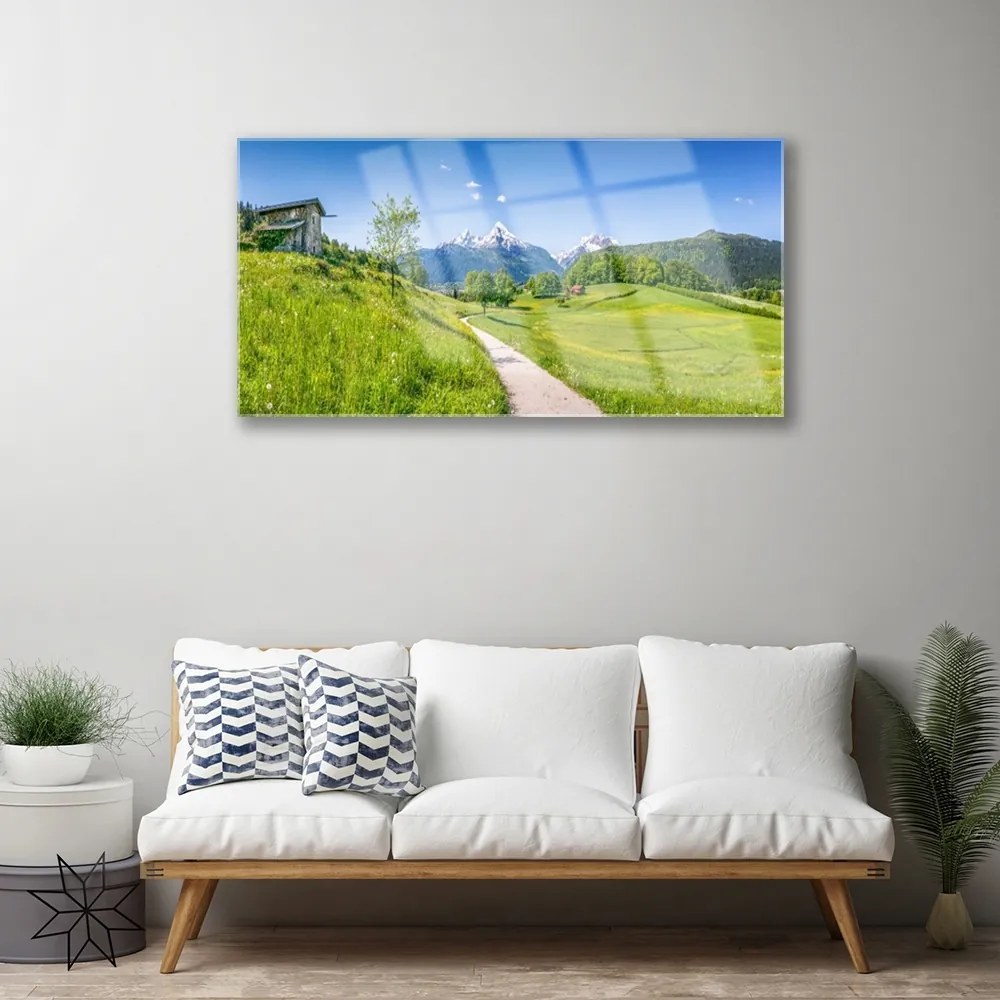 Plexisklo-obraz Hory Louka Stezka Údolí 100x50 cm