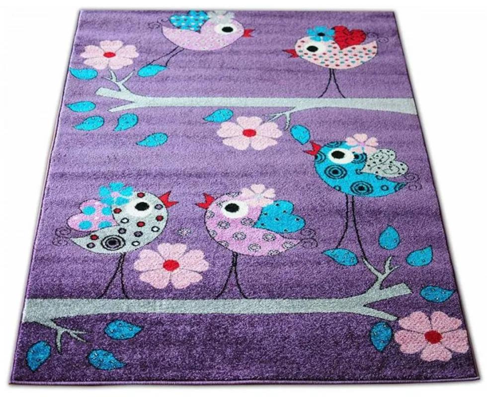 Dětský koberec Ptáčci fialový, Velikosti 100x200cm