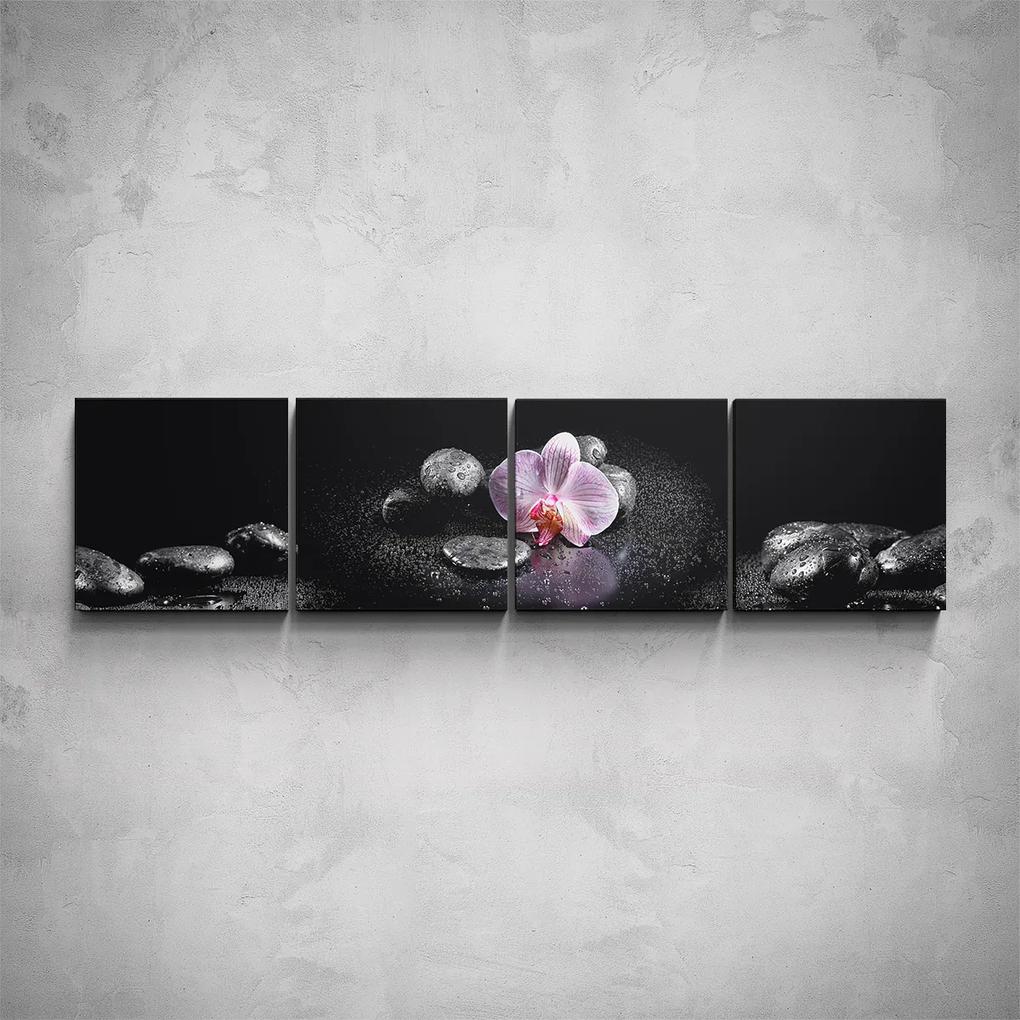 4-dílný obraz - Růžová orchidej na černé - PopyDesign