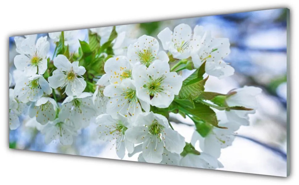 Plexisklo-obraz Květiny Strom Listy Příroda 125x50 cm