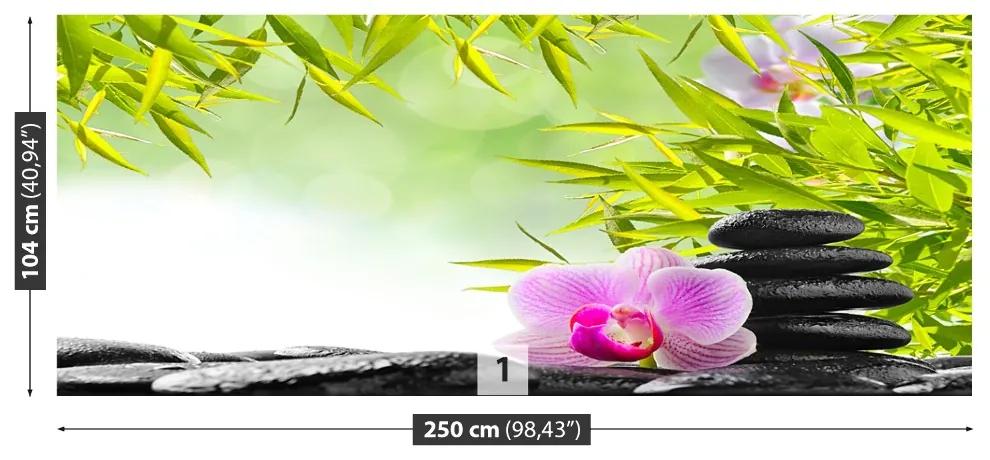 Fototapeta Bambus a orchidej 104x70