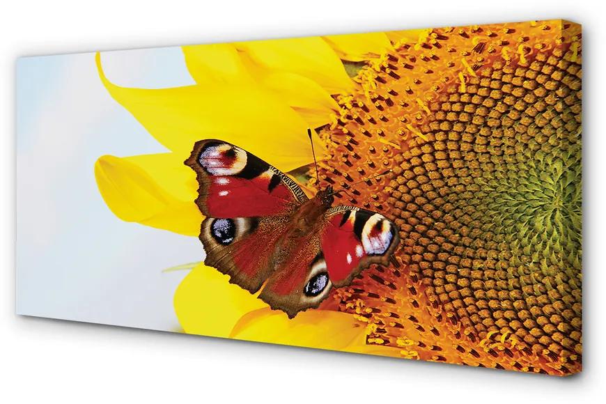 Obrazy na plátně slunečnice motýl 100x50cm