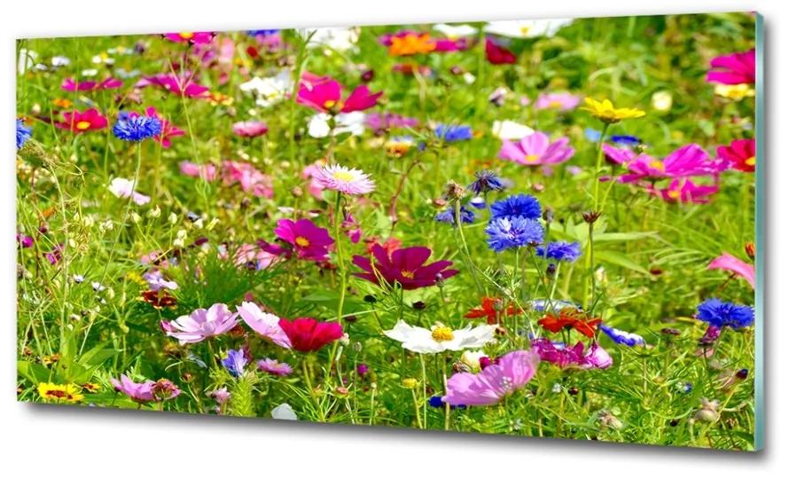 Wallmuralia Fotoobraz na skle Plolní květiny 100x50