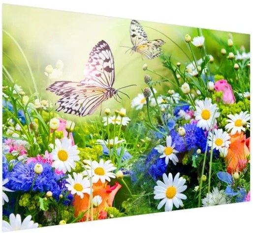 Fototapeta Motýli a květiny v krásné zahradě 200x135cm FT2220A_1AL