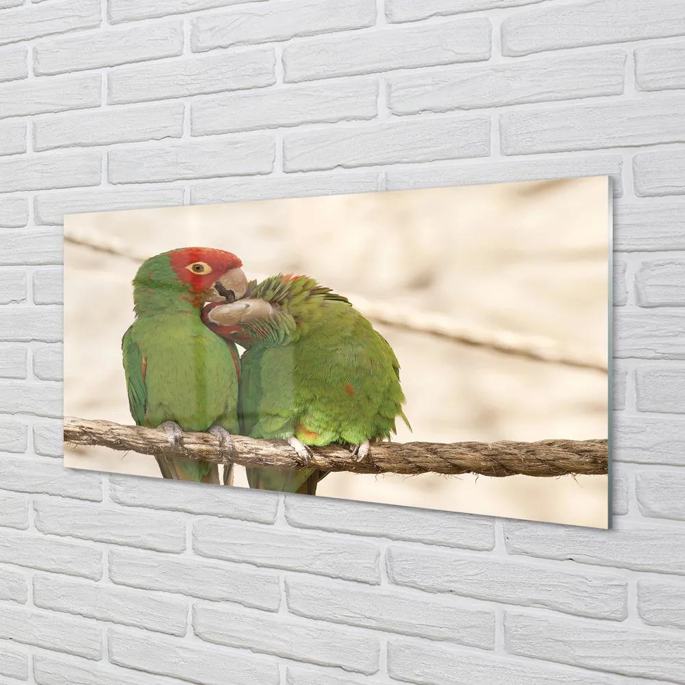 akrylový obraz zelené papoušci 125x50 cm