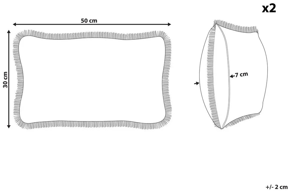 Sada 2 dekorativních polštářů s třásněmi 30 x 50 cm béžová POTHOS Beliani