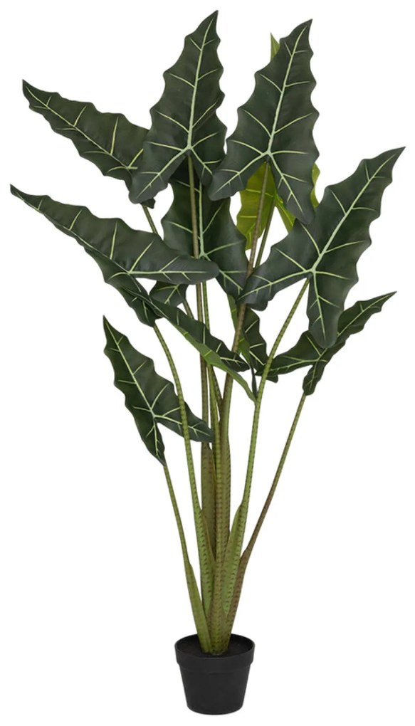 Alocasia Taro umělá 120 cm