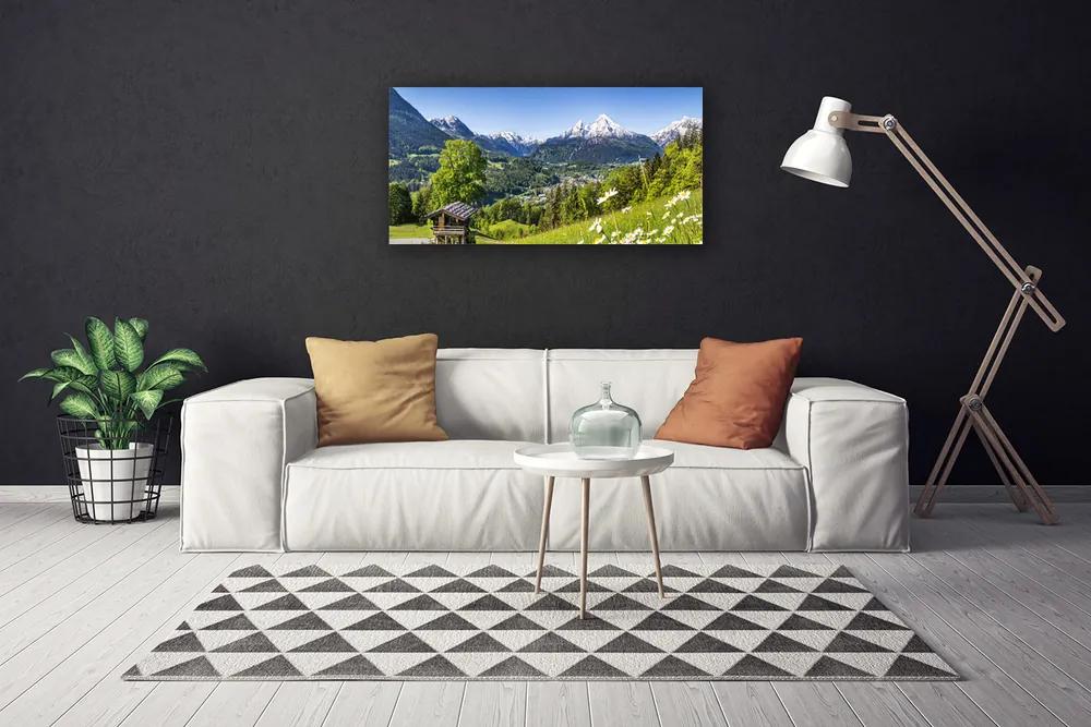 Obraz na plátně Hora Pole Příroda 120x60 cm