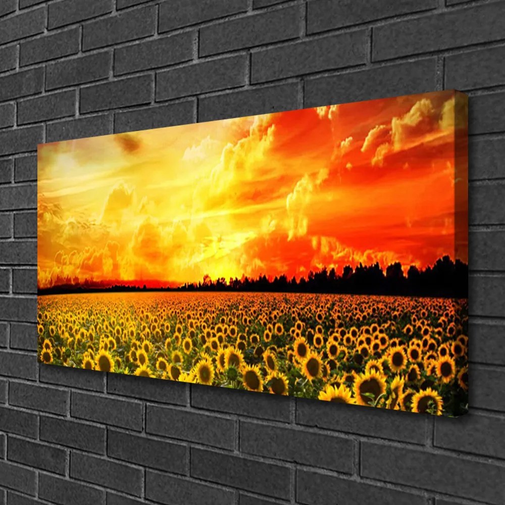 Obraz na plátně Louka Slunečnice Květiny 125x50 cm