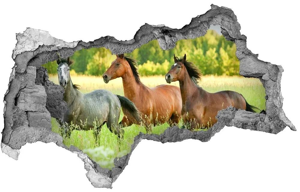 Wallmuralia Díra 3D fototapeta nálepka Koně ve cvalu 95x73 cm