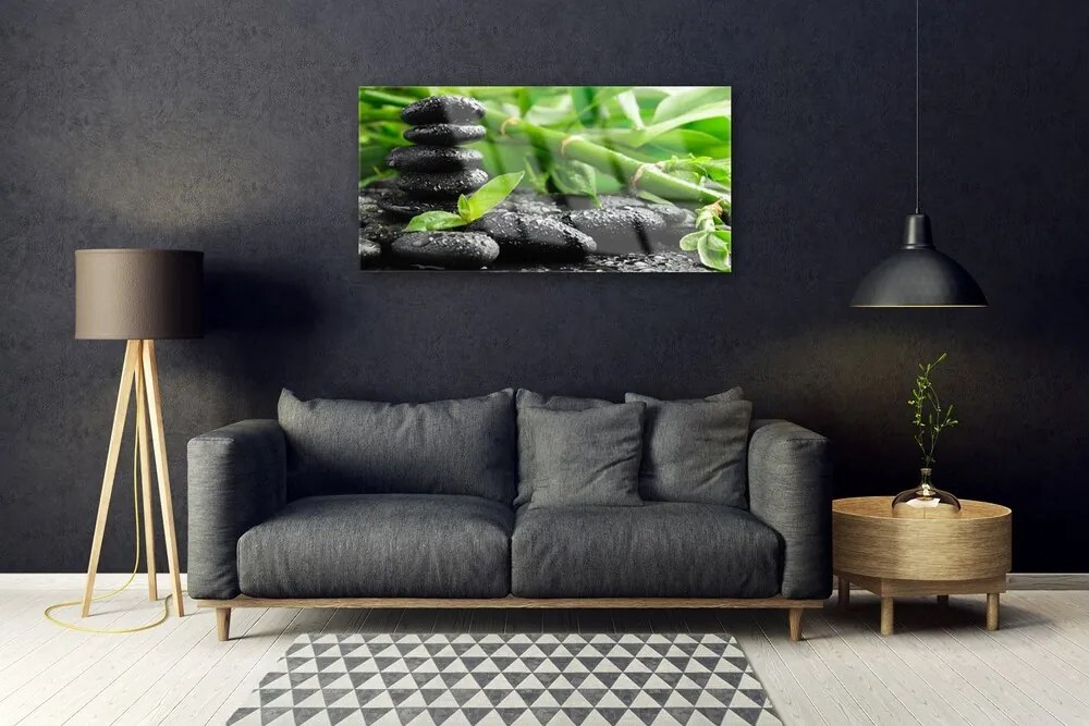 Obraz na skle Bambus Kameny Rostlina 125x50 cm