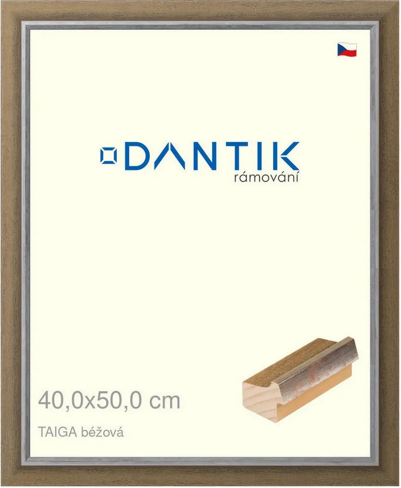 DANTIK rámeček 40x50 | TAIGA béžová (Plexi Čiré)