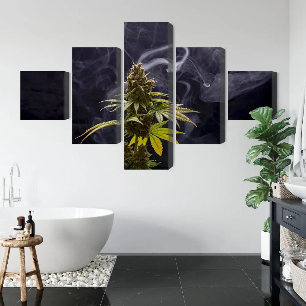 Vícedílný obraz Rostlina Konopí Na Zakouřeném Pozadí Nedostatek Nedostatek Plátno Canvas 150x90