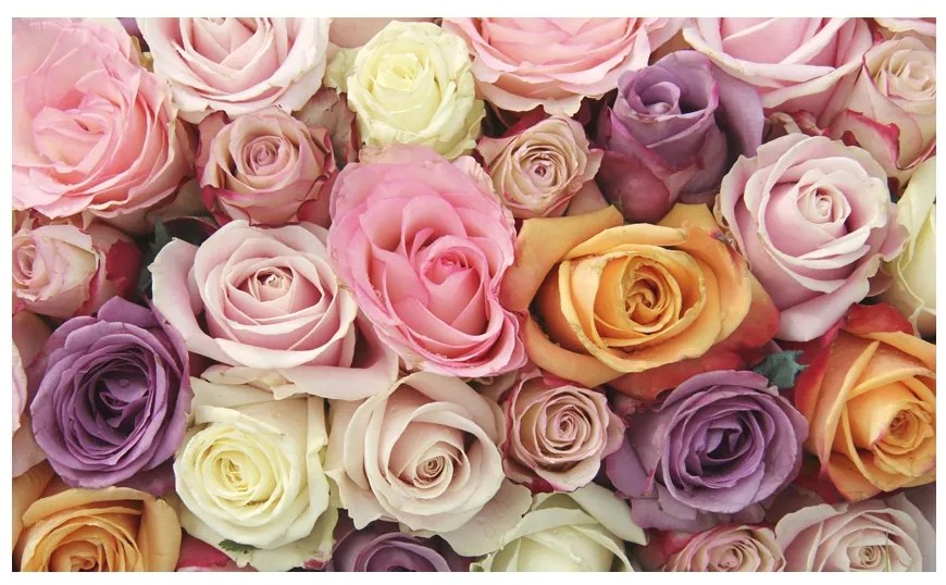 Fototapeta - Pastel roses