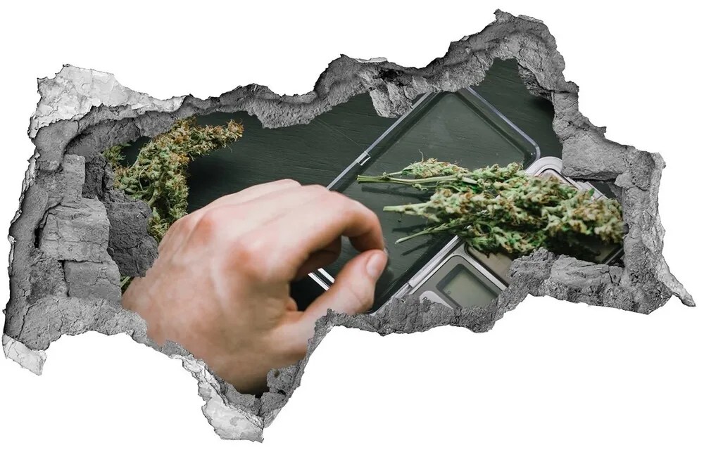Wallmuralia Samolepící nálepka fototapeta Marihuana 95x73 cm