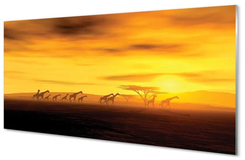 akrylový obraz Strom mraky nebe žirafa 140x70 cm