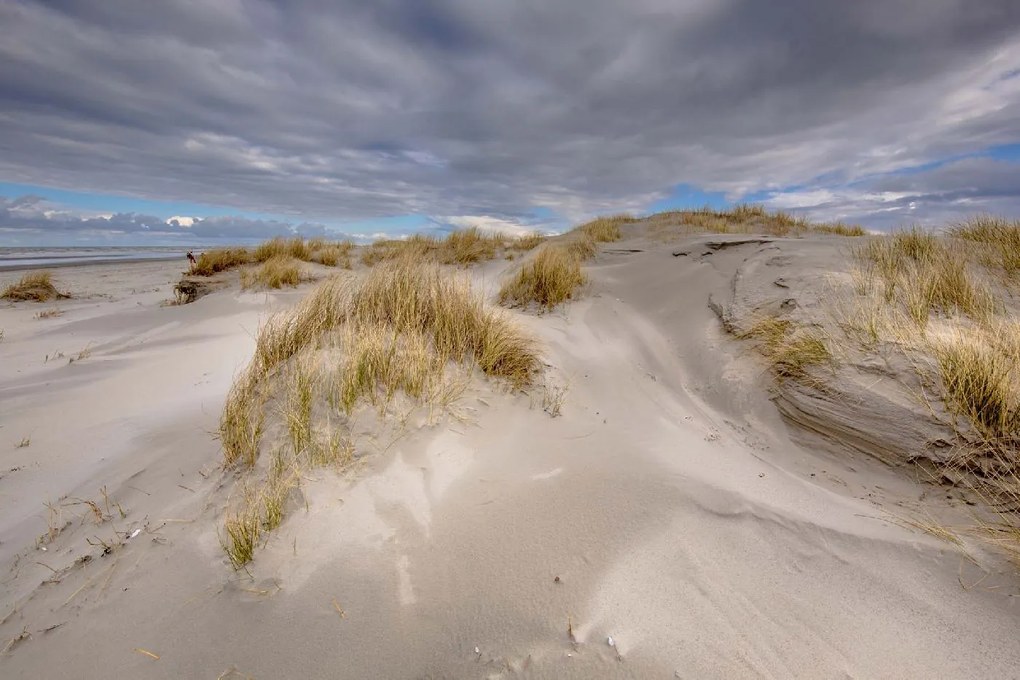 DIMEX | Samolepicí vliesová fototapeta na zeď Waddenské moře MA-5-3211 | 375 x 250 cm | zelená, modrá, bílá