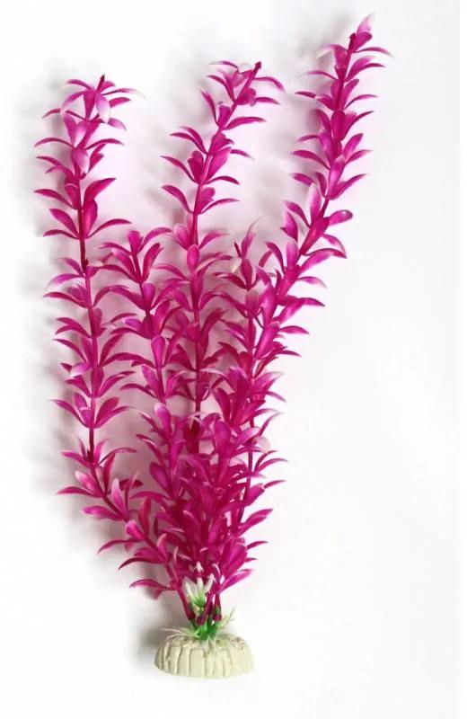 Akvarijní rostlina Standard Plant MIX COLOR, výška 32 cm