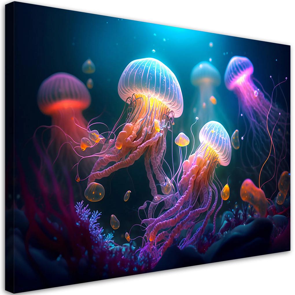 Gario Obraz na plátně Plovoucí medúzy Rozměry: 60 x 40 cm