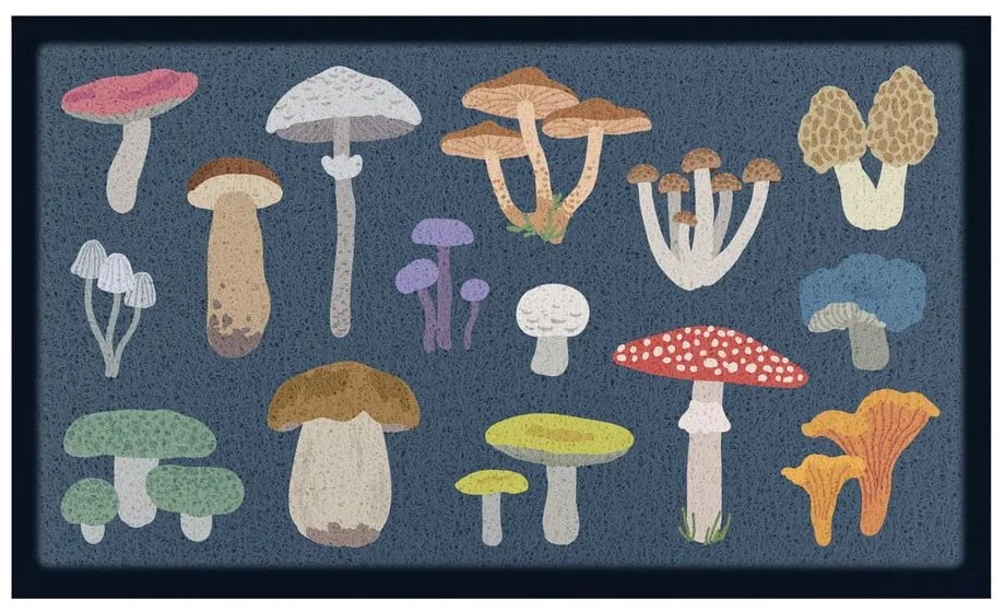Rohožka 60x90 cm Mixed Wild Mushroom – Artsy Doormats