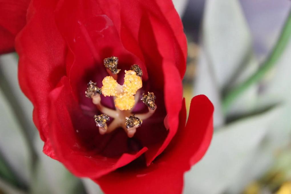 Červený rozkvetlý umělý tulipán