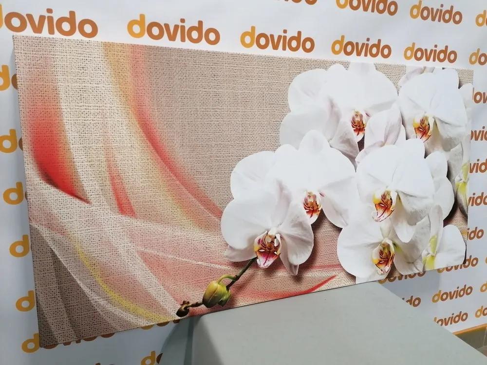 Obraz bílá orchidej na plátně - 120x60 cm