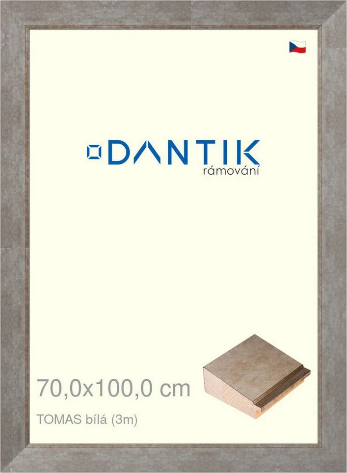 DANTIK rámeček 70x100 | TOMAS bílá velká (Plexi Čiré)