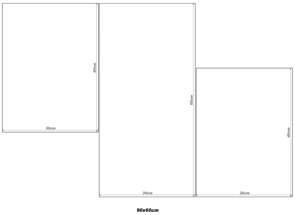 Gario 3 dílný fotoobraz na plátni Rozměry: 90 x 80 cm