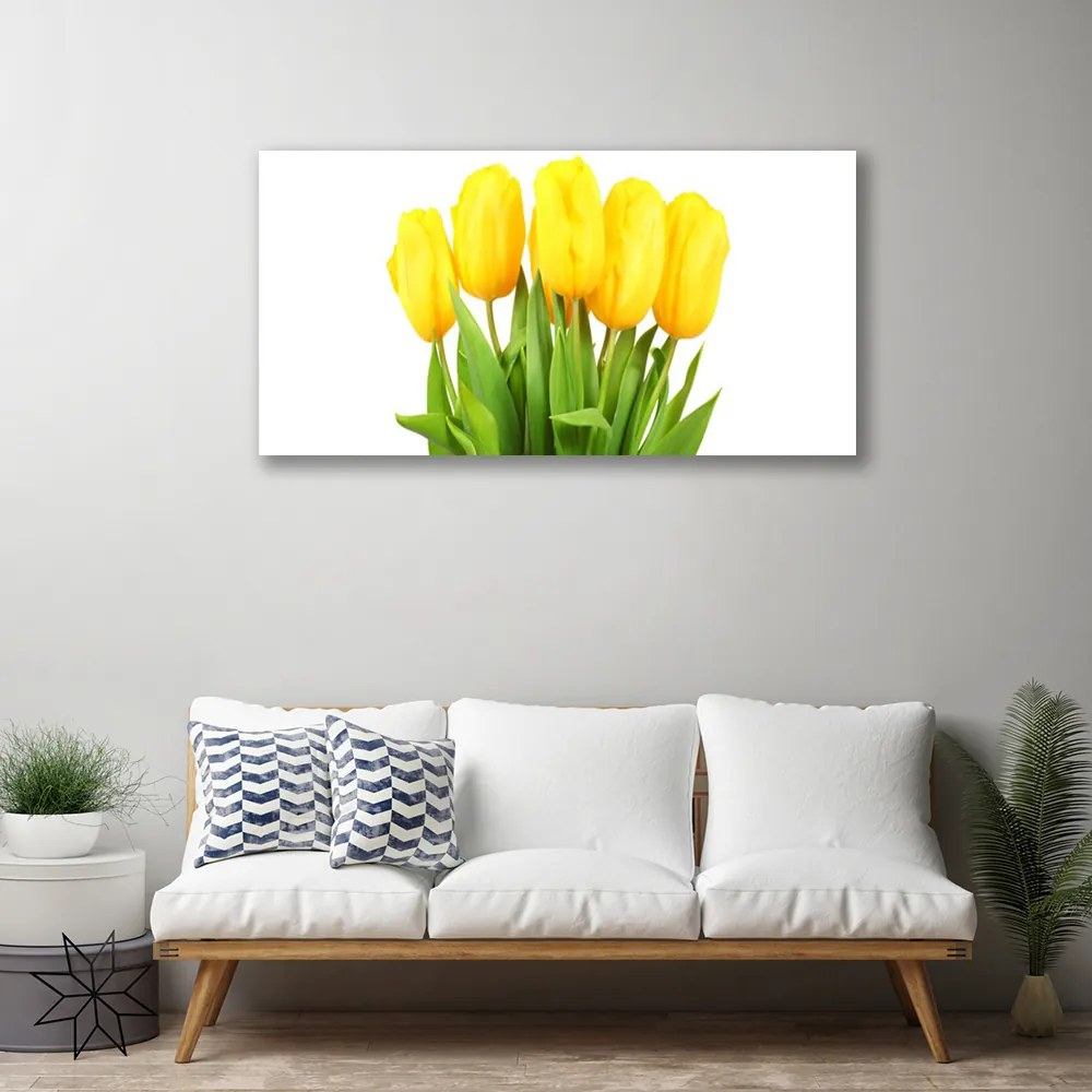 Obraz na plátně Tulipány Květiny Rostlina 125x50 cm