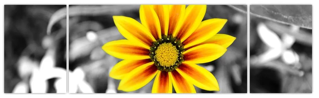 Obraz žluté květiny (170x50 cm)