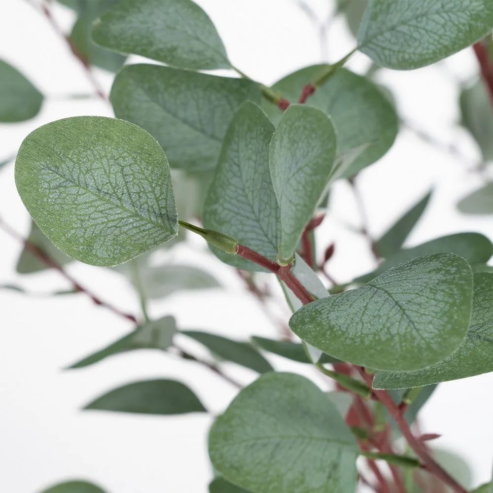 Umělý eukalyptus (výška 180 cm) Eucalyptus – Ixia