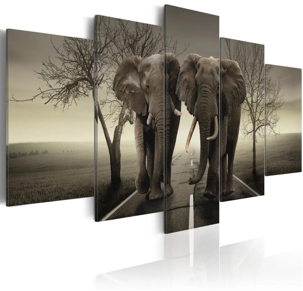 Pětidílné obrazy - pár slonů (200x100 cm) - Murando DeLuxe
