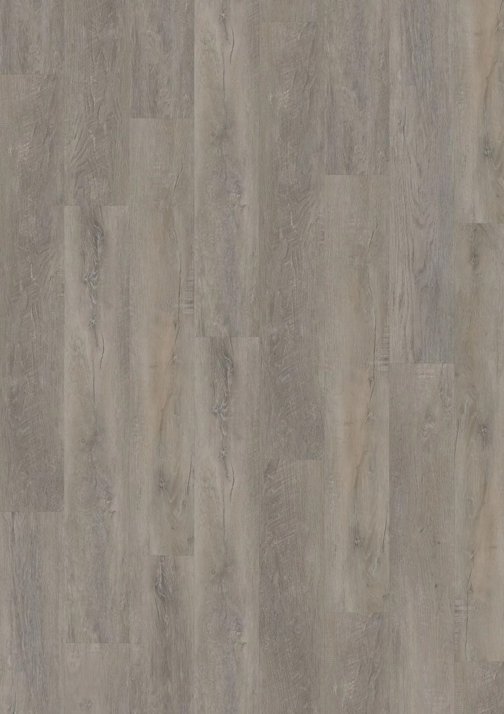 Oneflor AKCE: Vinylová podlaha lepená ECO 55 056 Old Oak Greige  - dub - Lepená podlaha