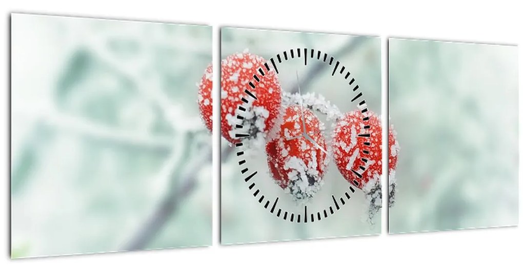 Obraz zmrzlých šípků (s hodinami) (90x30 cm)
