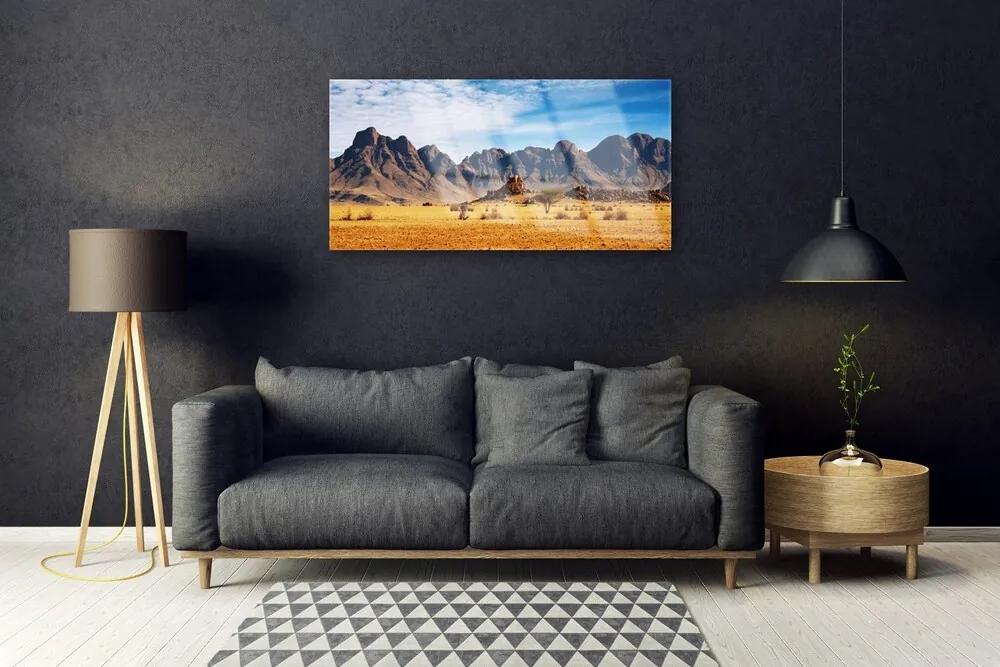 Obraz na skle Poušť Hory Krajina 125x50 cm