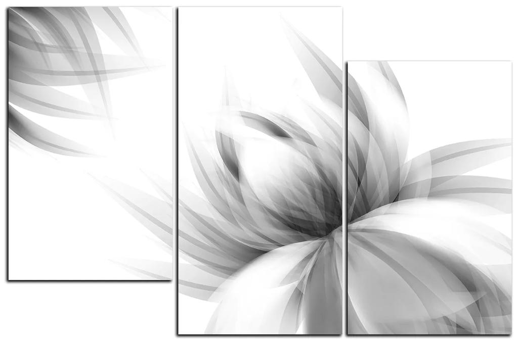 Obraz na plátně - Elegantní květ 1147QC (120x80 cm)