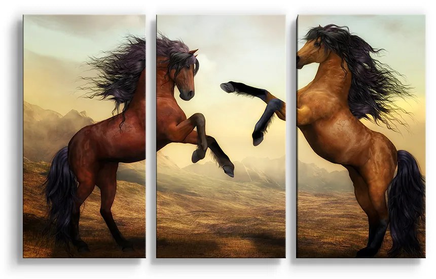 Sablio Obraz - 3-dílný Vzpínající se koně - 120x80 cm