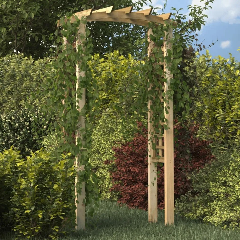 Trelážový oblouk 110x60x210 cm impregnovaná masivní borovice 318560