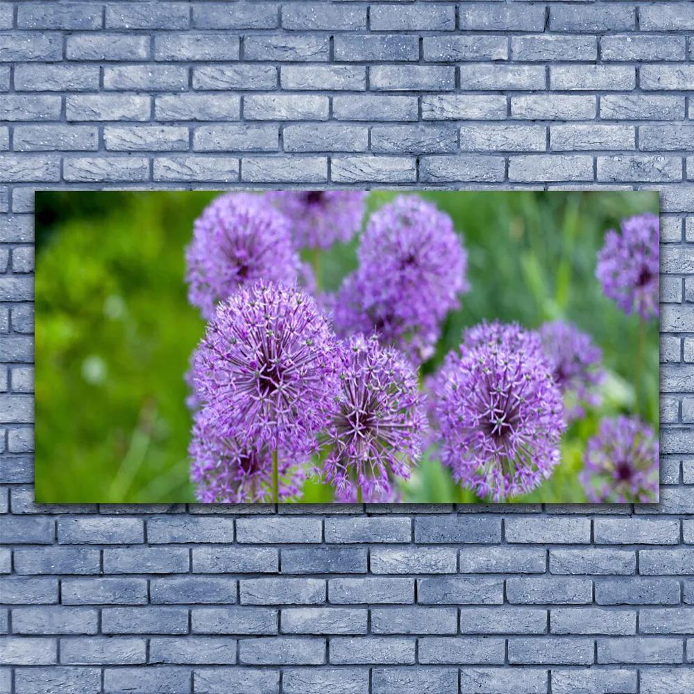 Plexisklo-obraz Fialové Květiny Louka 120x60 cm