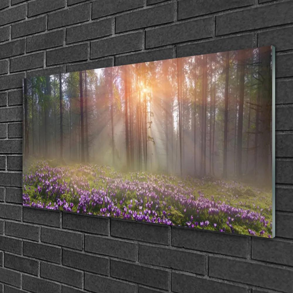 Obraz na skle Les Květiny Rostlina Příroda 100x50 cm