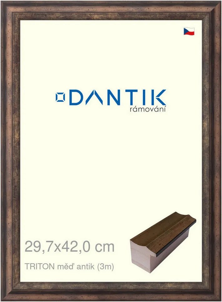 DANTIK rámeček 29,7x42 | TRITON měď antik (Plexi Čiré)