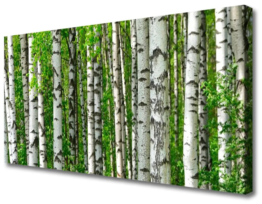 Obraz na plátně Les Rostlina Příroda 120x60 cm