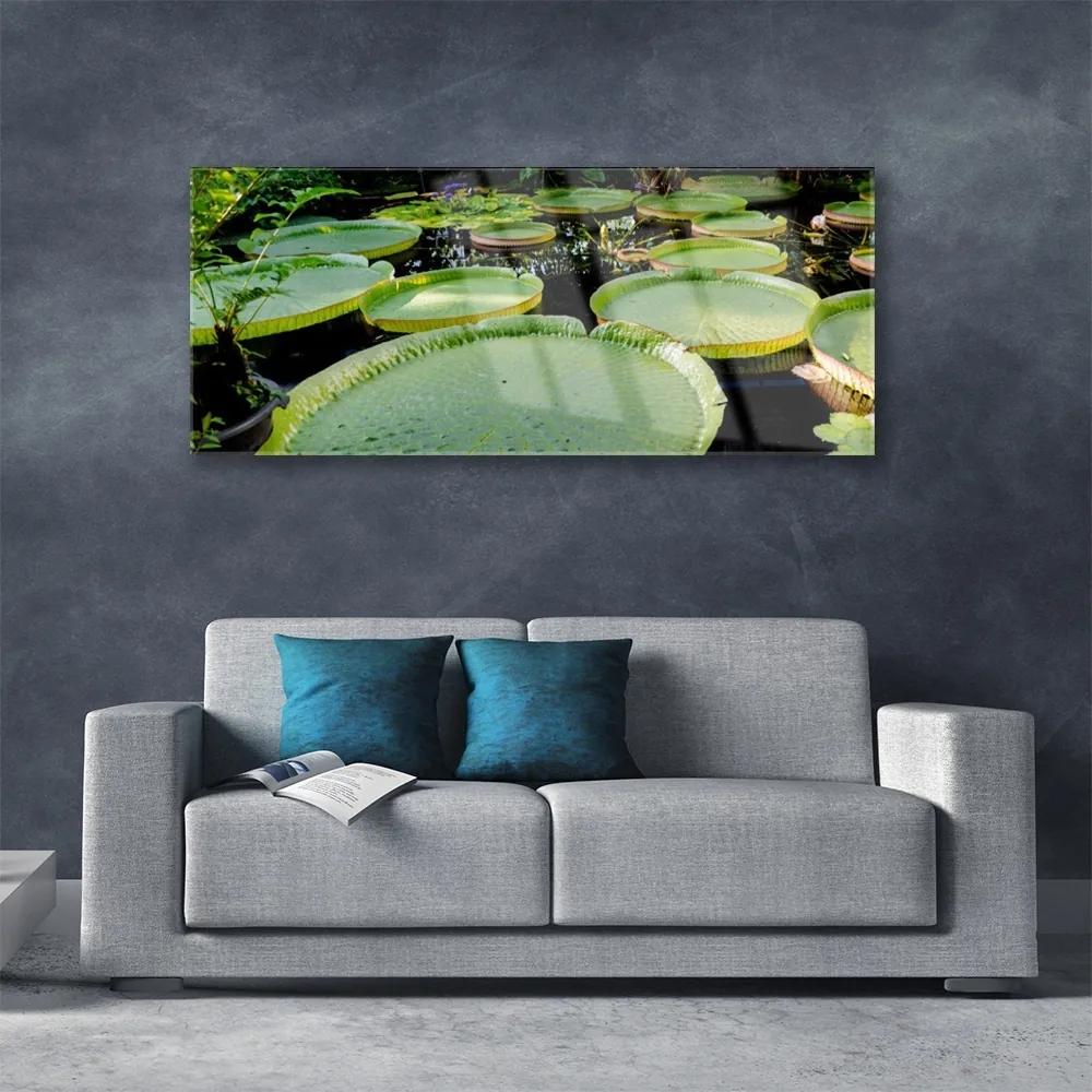 Plexisklo-obraz Listy Jezero Příroda 125x50 cm