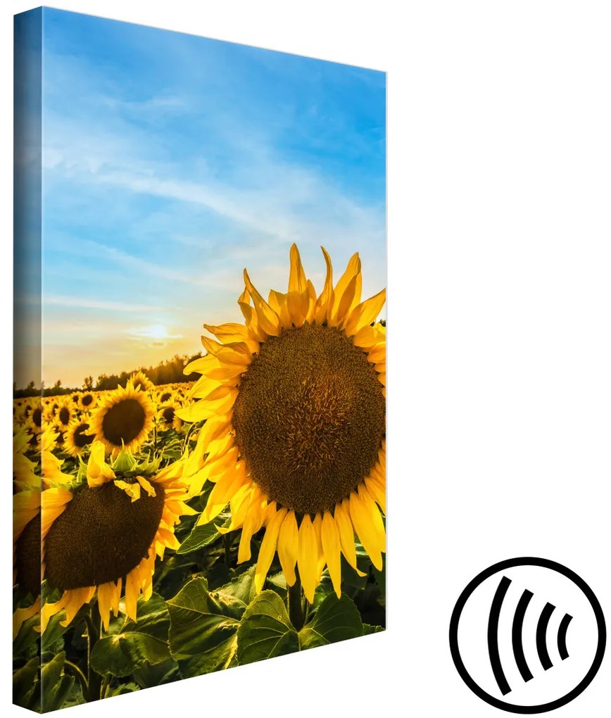 Obraz Květy míru (1-dílný) svislý - slunečnice na rozlehlém poli