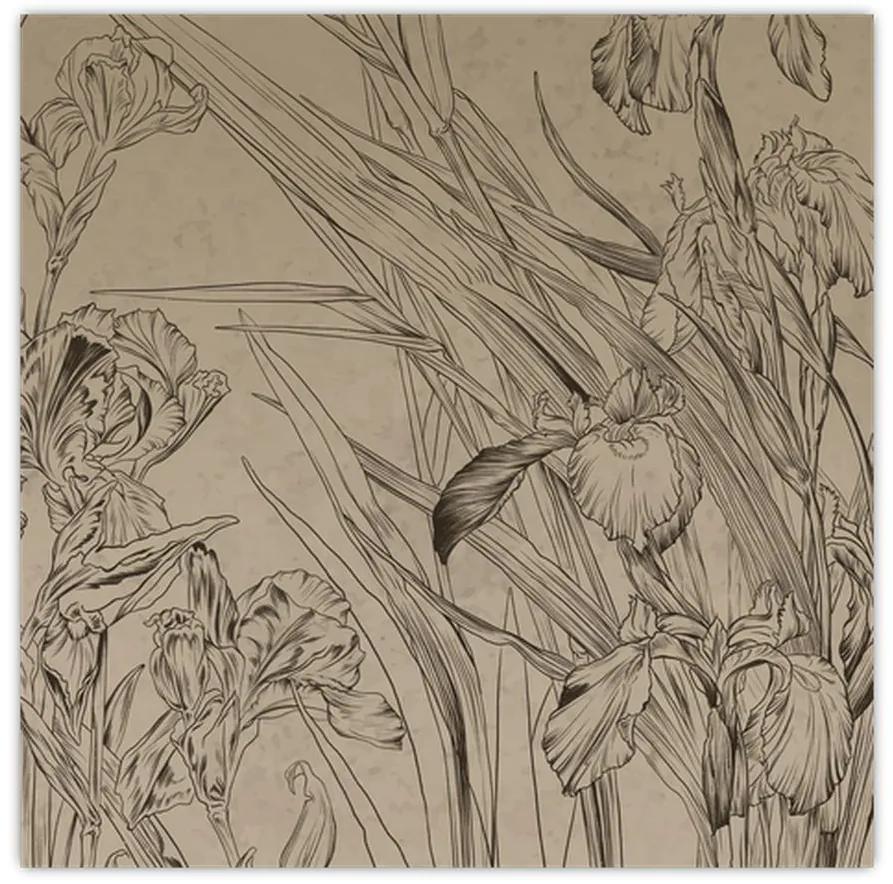 Obraz - Obrysy rostlin (30x30 cm)