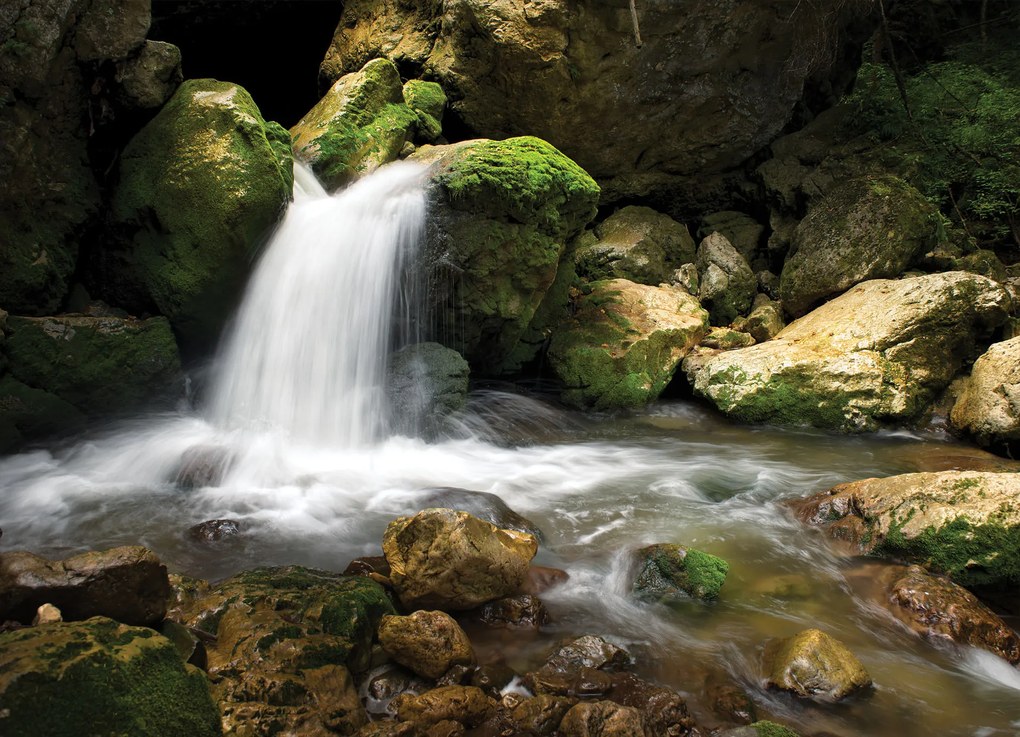 Malvis Tapeta Lesní potok Vel. (šířka x výška): 288 x 200 cm