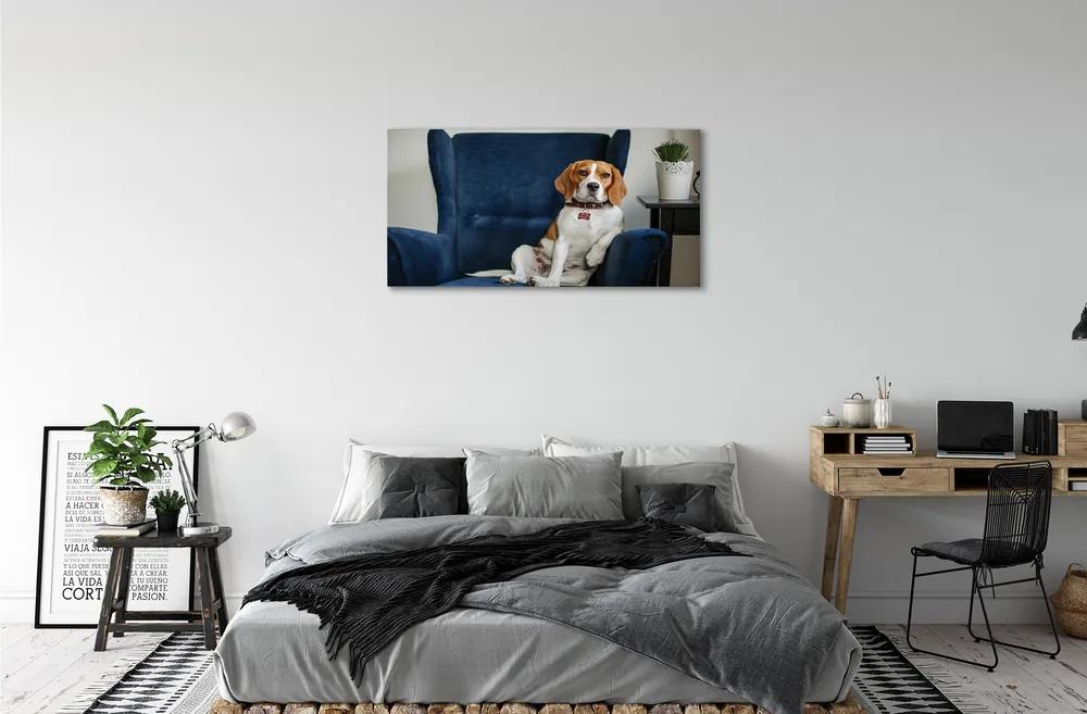 Obrazy na plátně sedící pes 125x50 cm