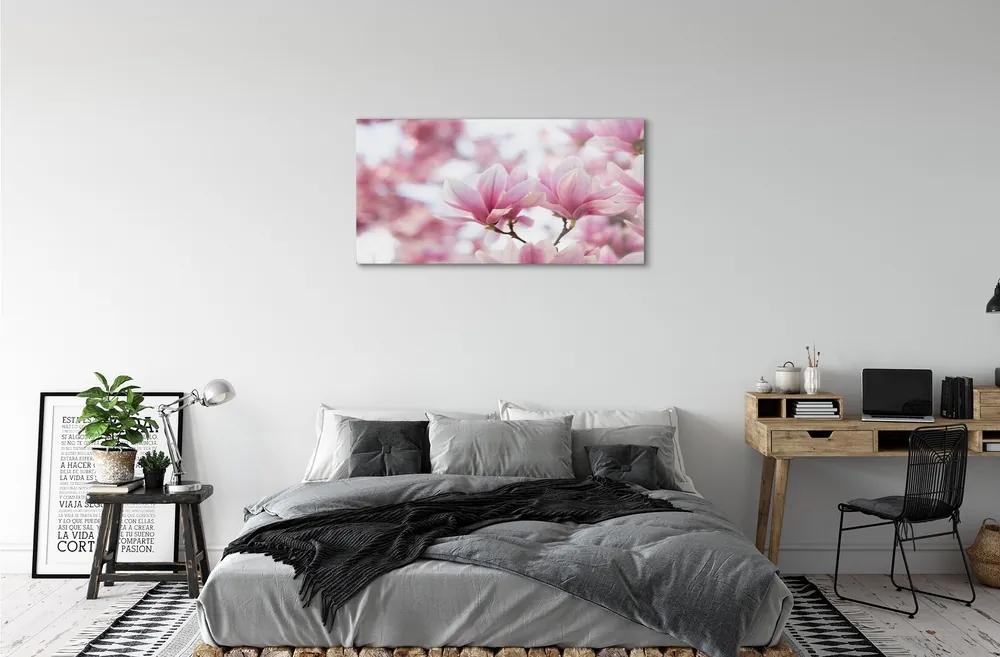 Obraz na skle magnolie strom 140x70 cm