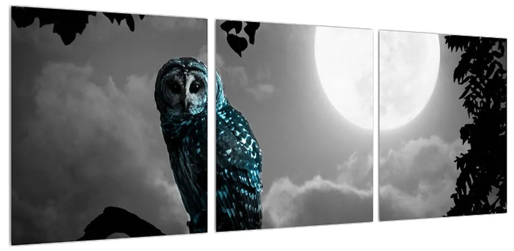 Obraz noční sovy (90x30 cm)